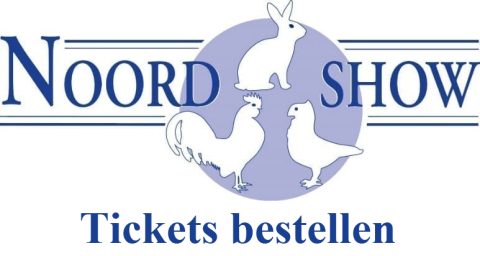 Noordshow | De grootste kleindierenshow van Nederland